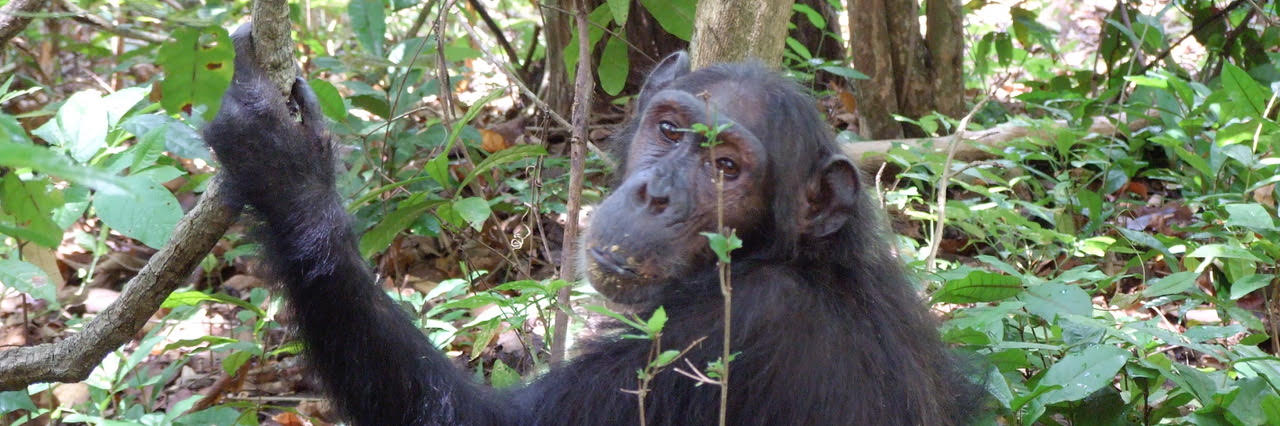 KIGOMA - Sikia Africa