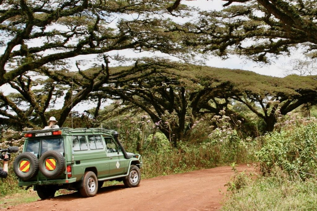 PARQUE NACIONAL DEL LAGO MANYARA - Sikia Africa