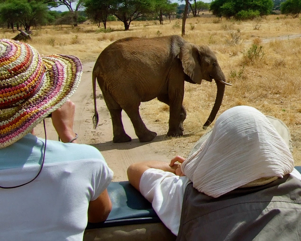 PARQUE NACIONAL DEL LAGO MANYARA - Sikia Africa