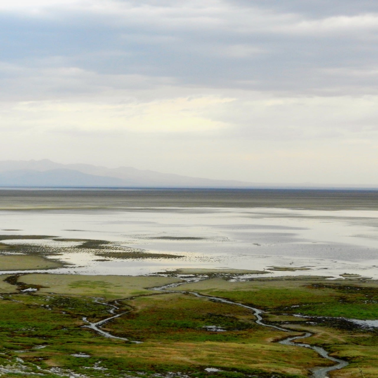 PARQUE NACIONAL DEL LAGO MANYARA - Sikia Africa