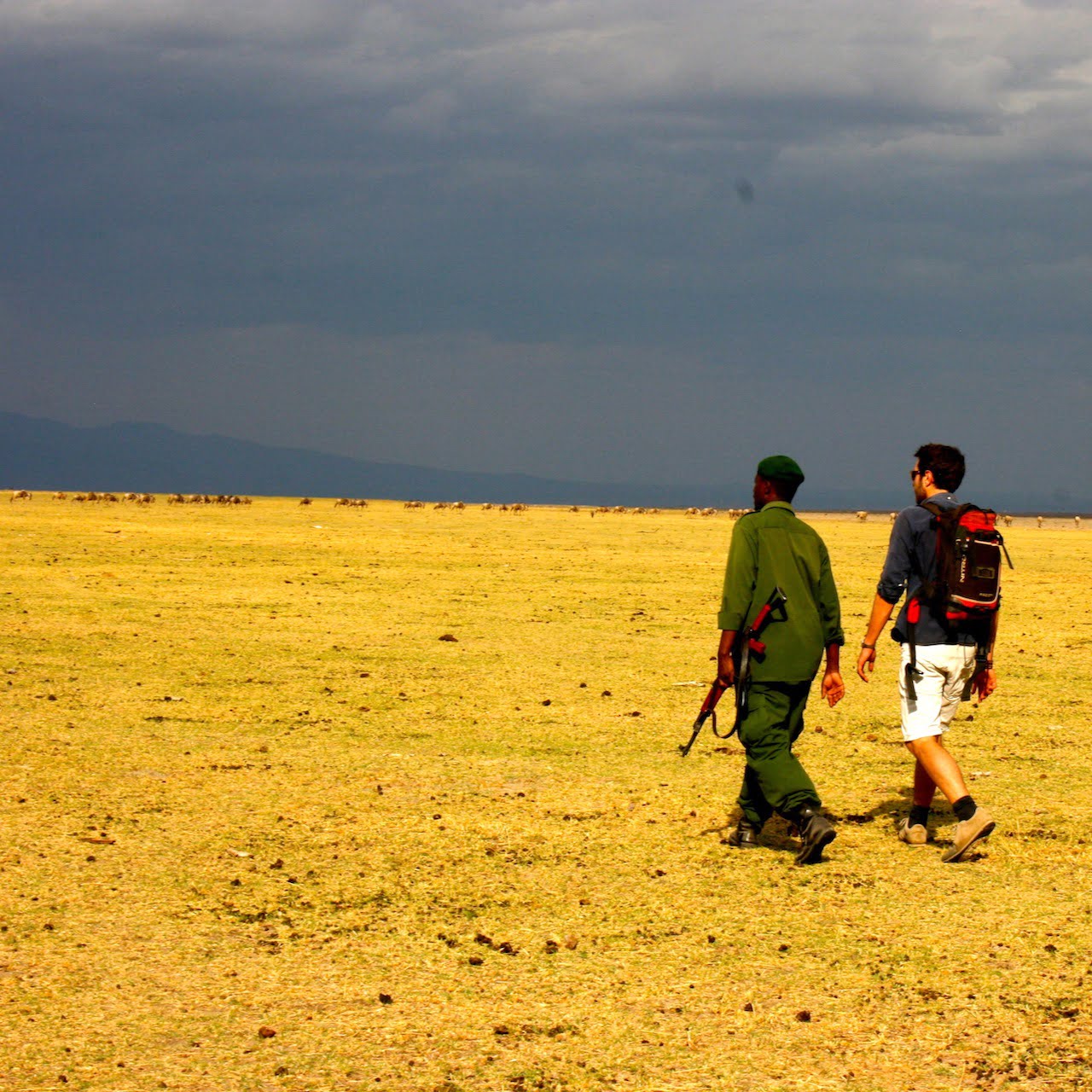 PARQUE NACIONAL DEL LAGO MANYARA - Sikia Africa