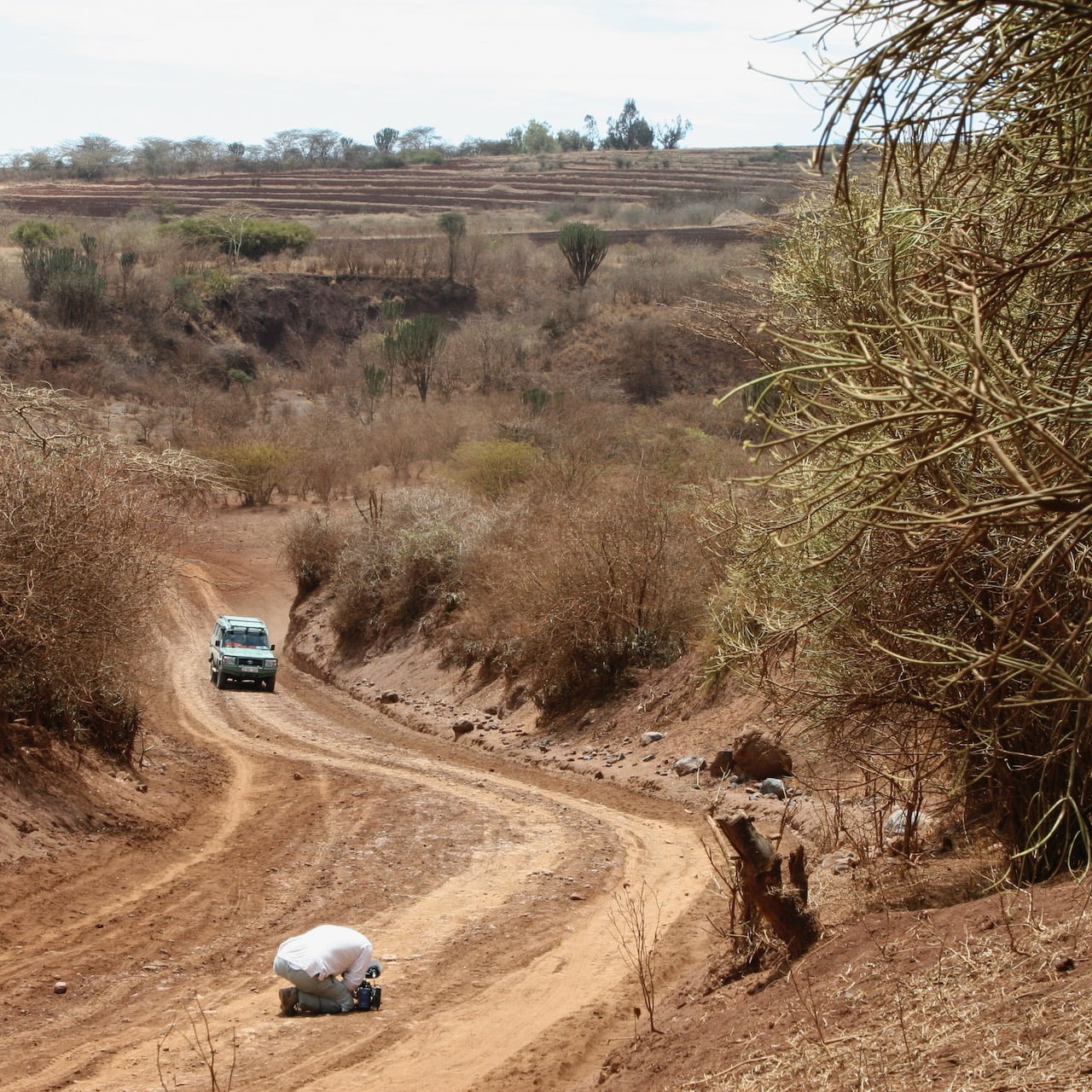 PARQUE NACIONAL DEL LAGO MANYARA - Sikia Africa