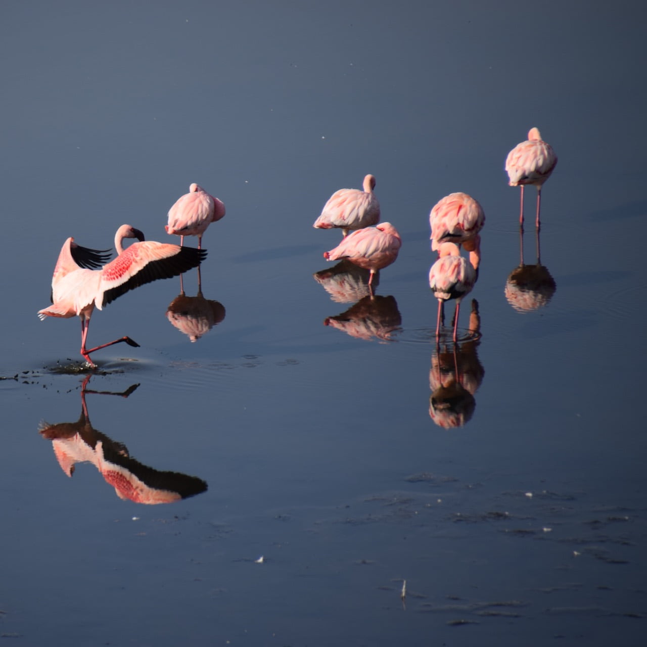 LAGO NATRON - Sikia Africa