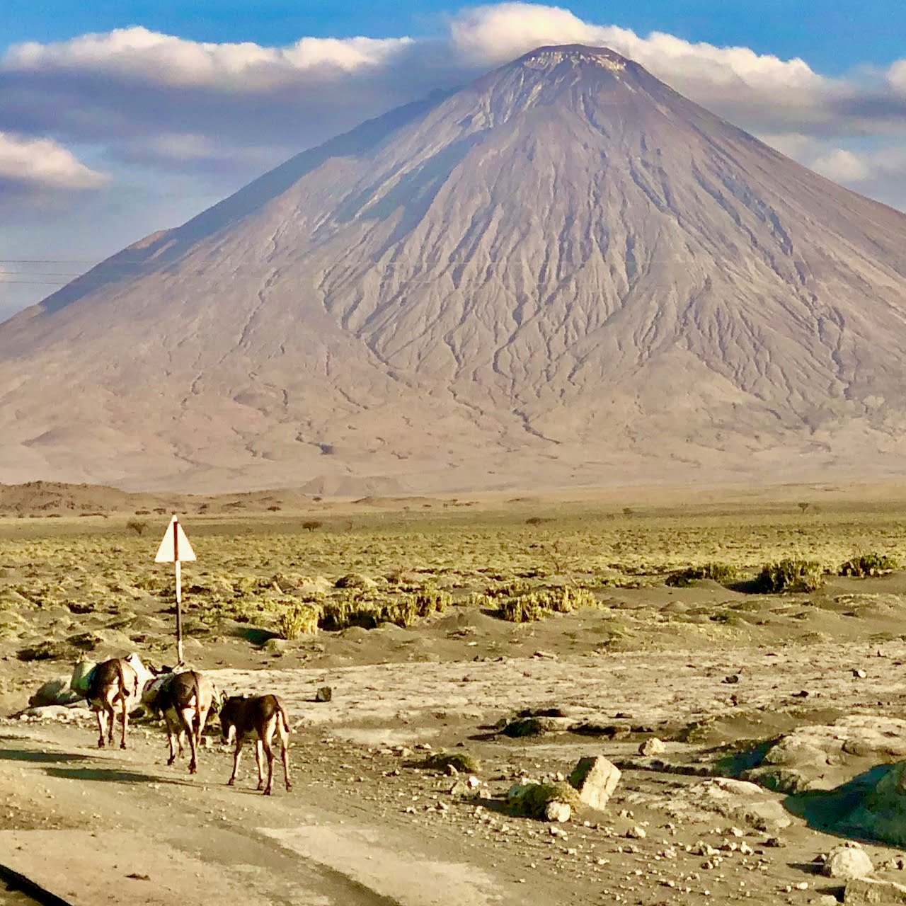 LAGO NATRON - Sikia Africa