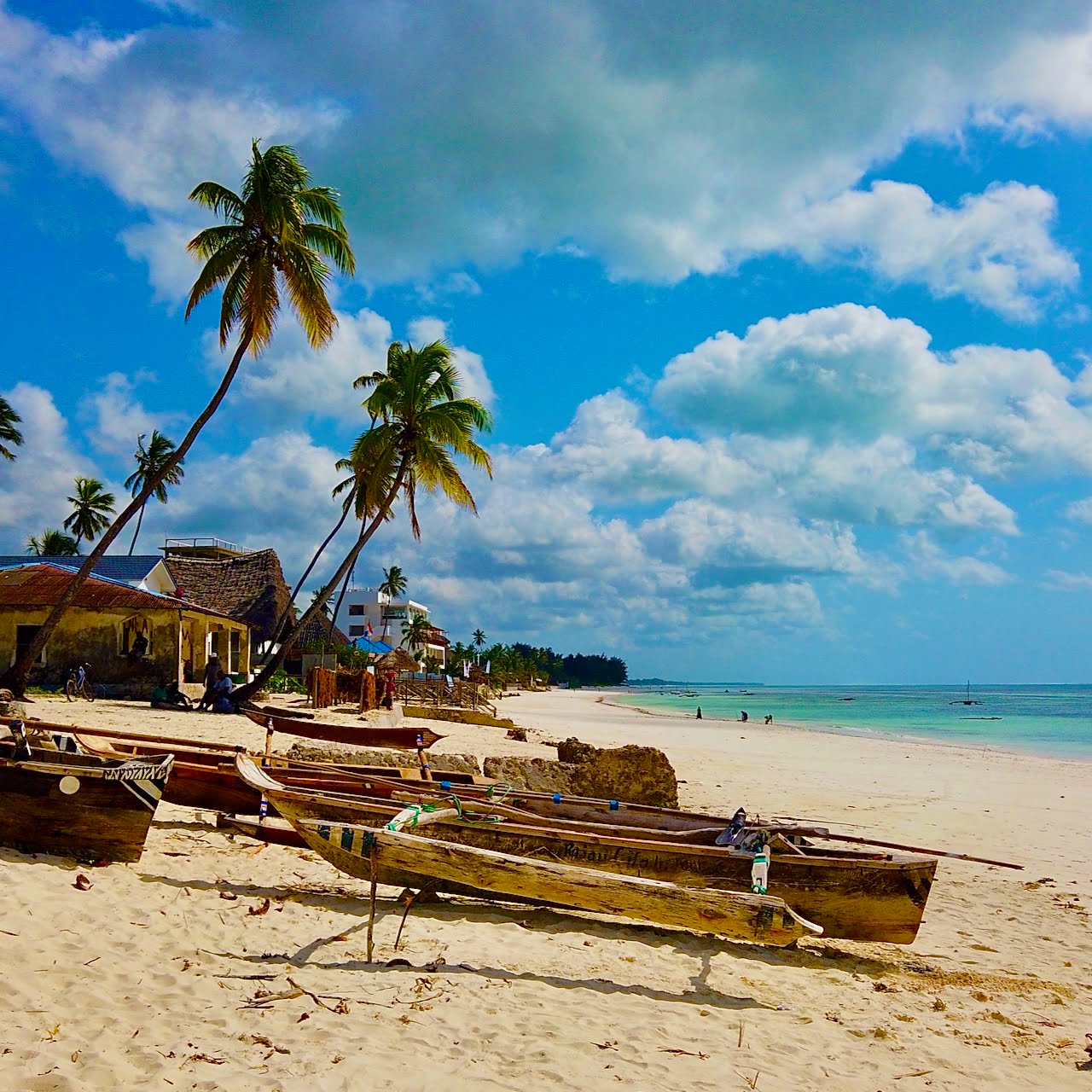 PAJE ZANZIBAR - Sikia Africa